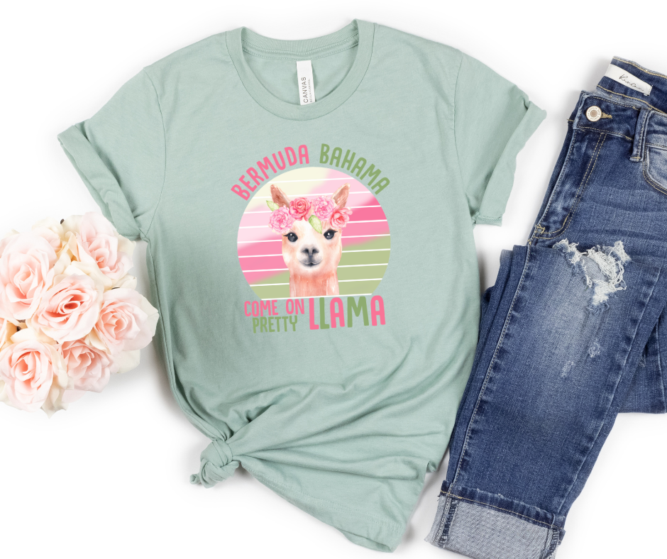 C'mon Pretty Llama | Sassy Flamingo Creations